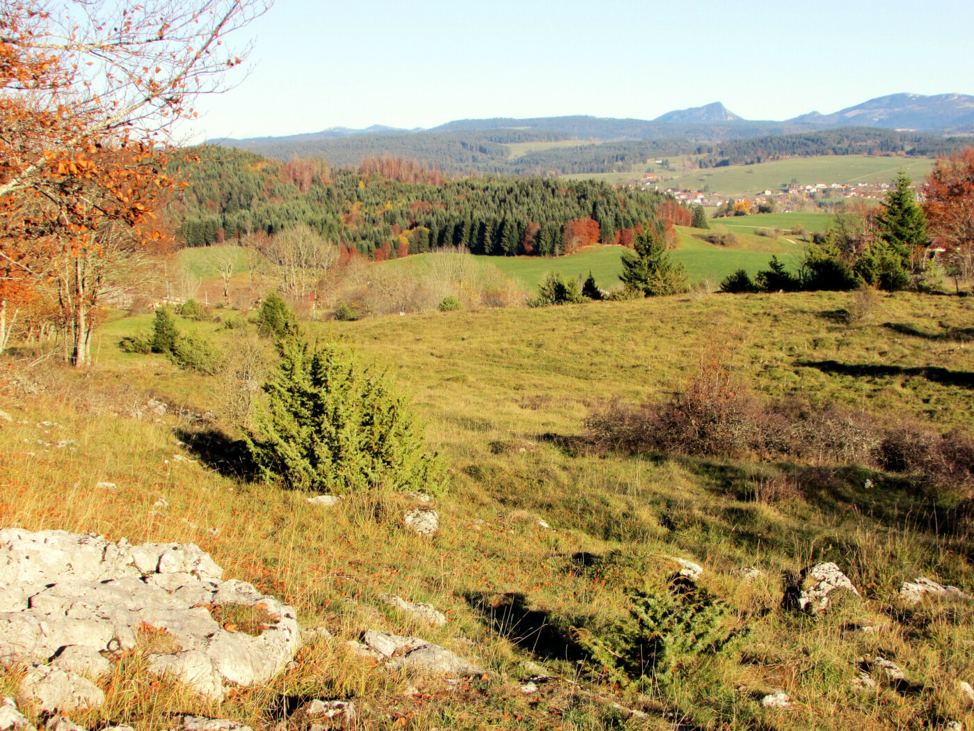 Remoray dans le Jura et le Doubs - Gîte de la réserve